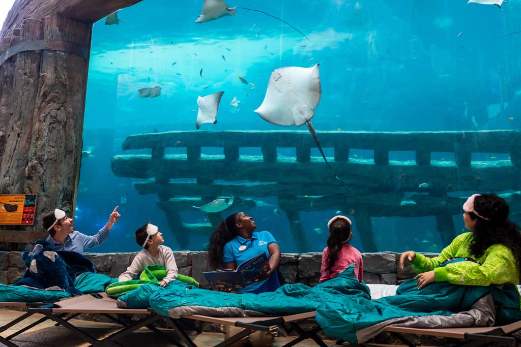DON'T MISS: SeaWorld Yas Island, Abu Dhabi is hosting its biggest ...